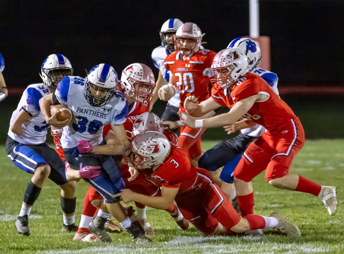 Wild one | News, Sports, Jobs - Observer Today